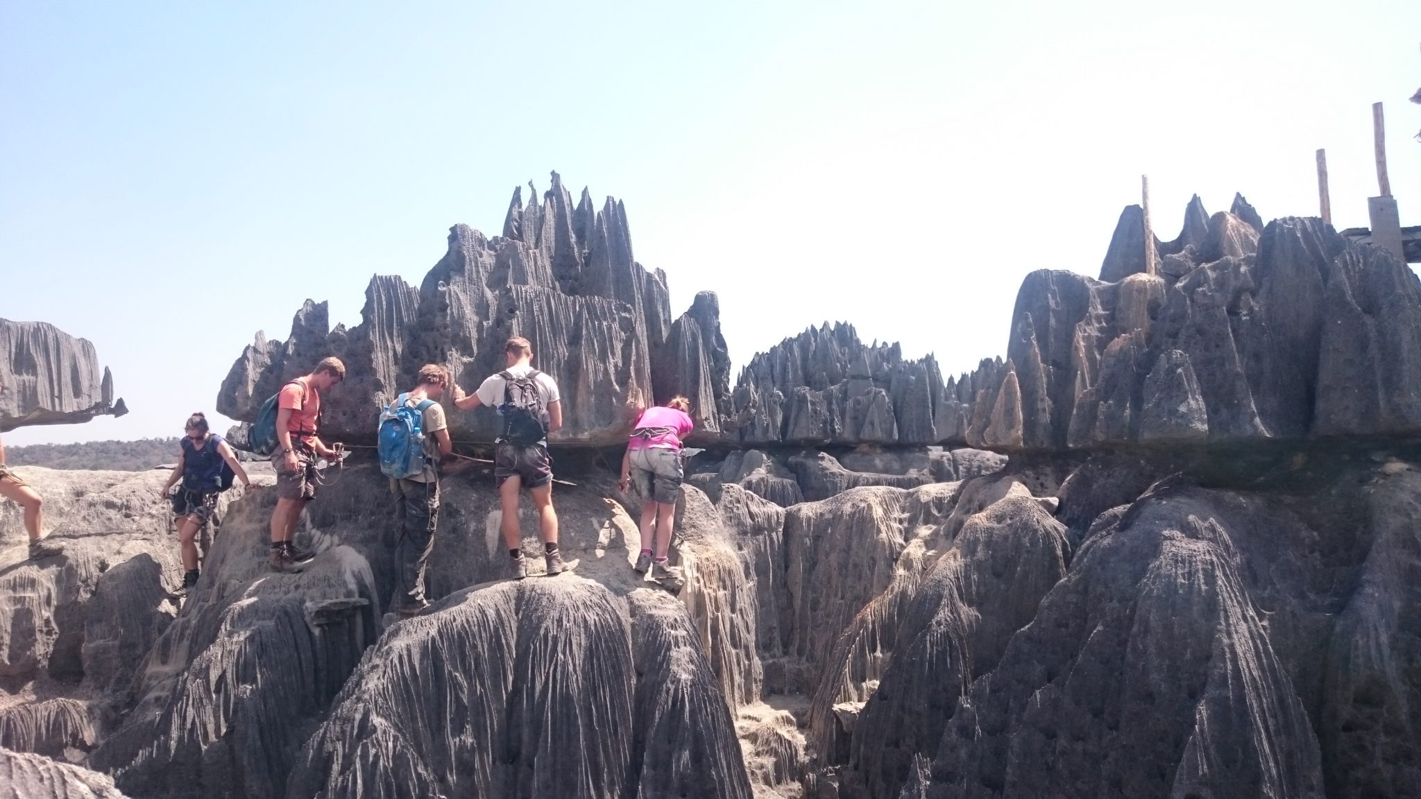 Tsingy | The Ulysses Trust