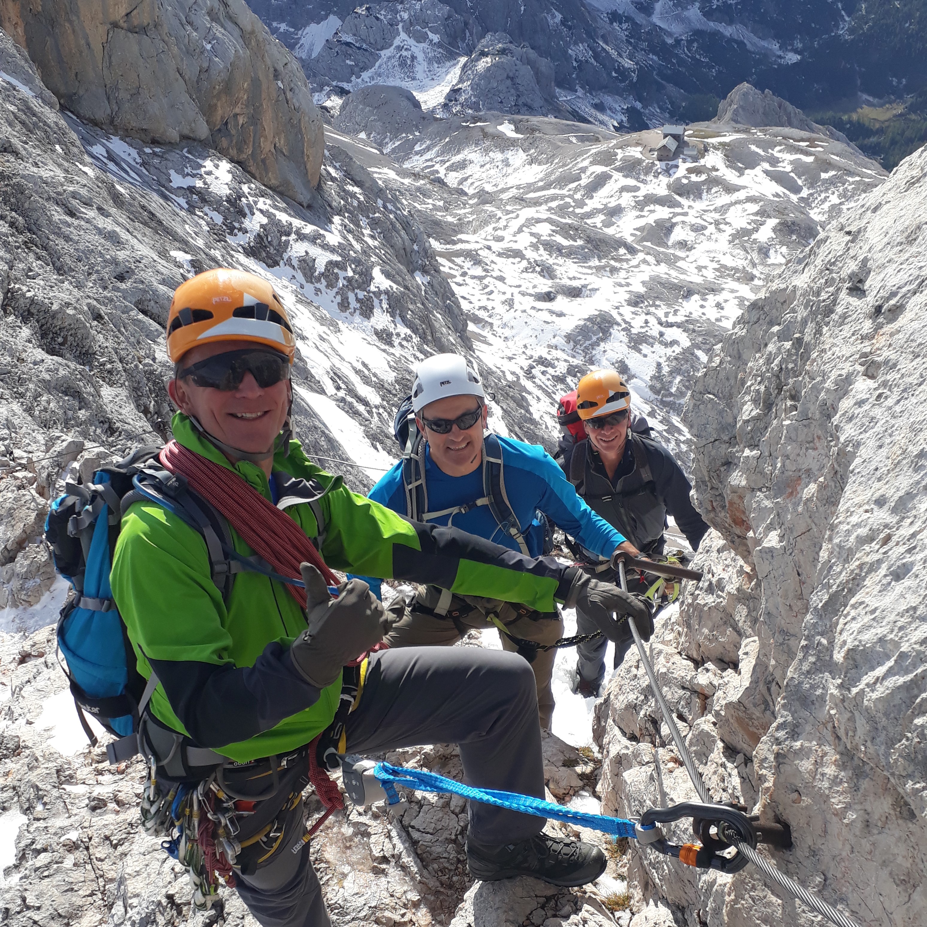 Cockney Slovenian Wolf 2018 | The Ulysses Trust