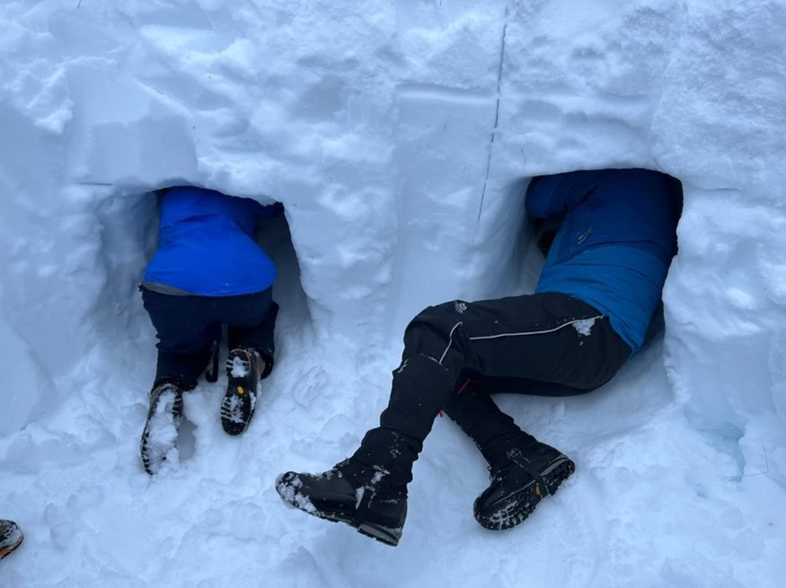 Dragon Highland Emu 2023 | The Ulysses Trust